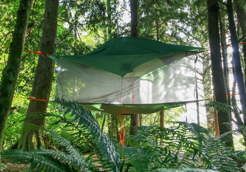17 Awesome Treehouse Ideas For You And The Kids