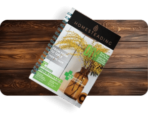Best Homesteading TV Shows to Inspire Off-Grid Living