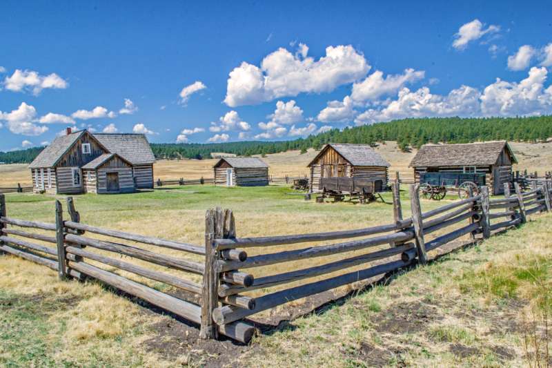 The Ultimate Homesteader's Christmas Roundup of 2015 - Homesteading.com ...