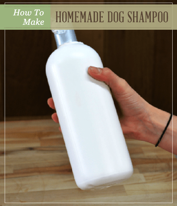 How to Make Homemade Dog Shampoo - Homesteading | Simple Self ...