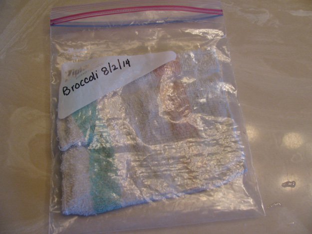 How To Reduce Paper Waste For Free | Homesteading