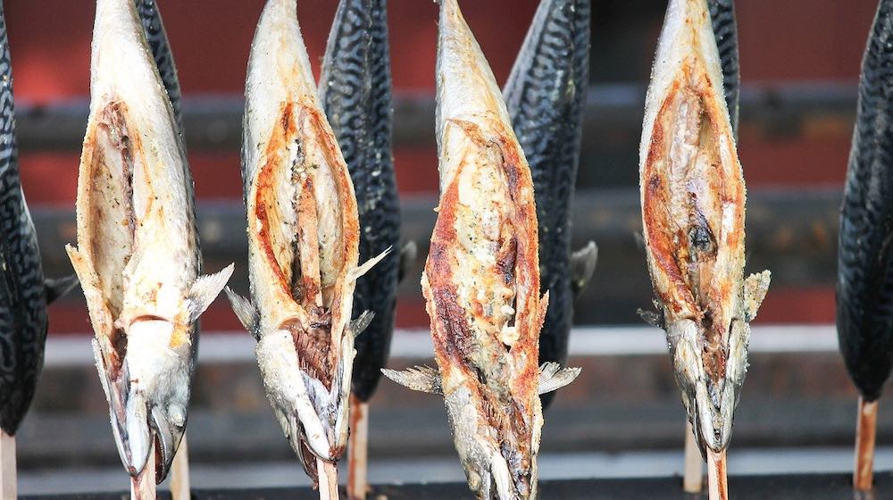 How to Smoke Fish Like a Pro From Your Own Backyard | Homesteading